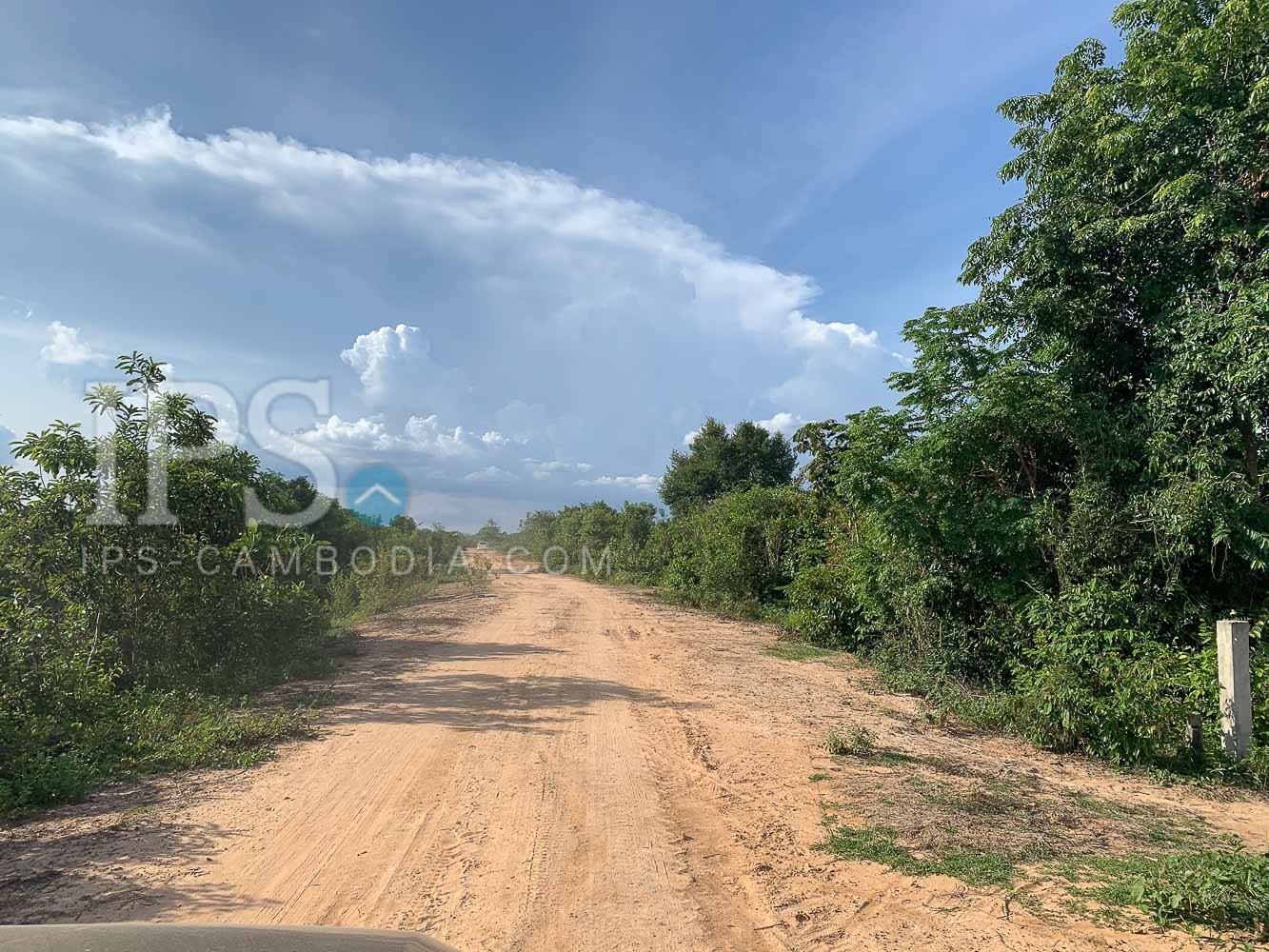 1.5 Hectare Land For Sale - Leang Dai, Siem Reap 10942 | IPS Cambodia