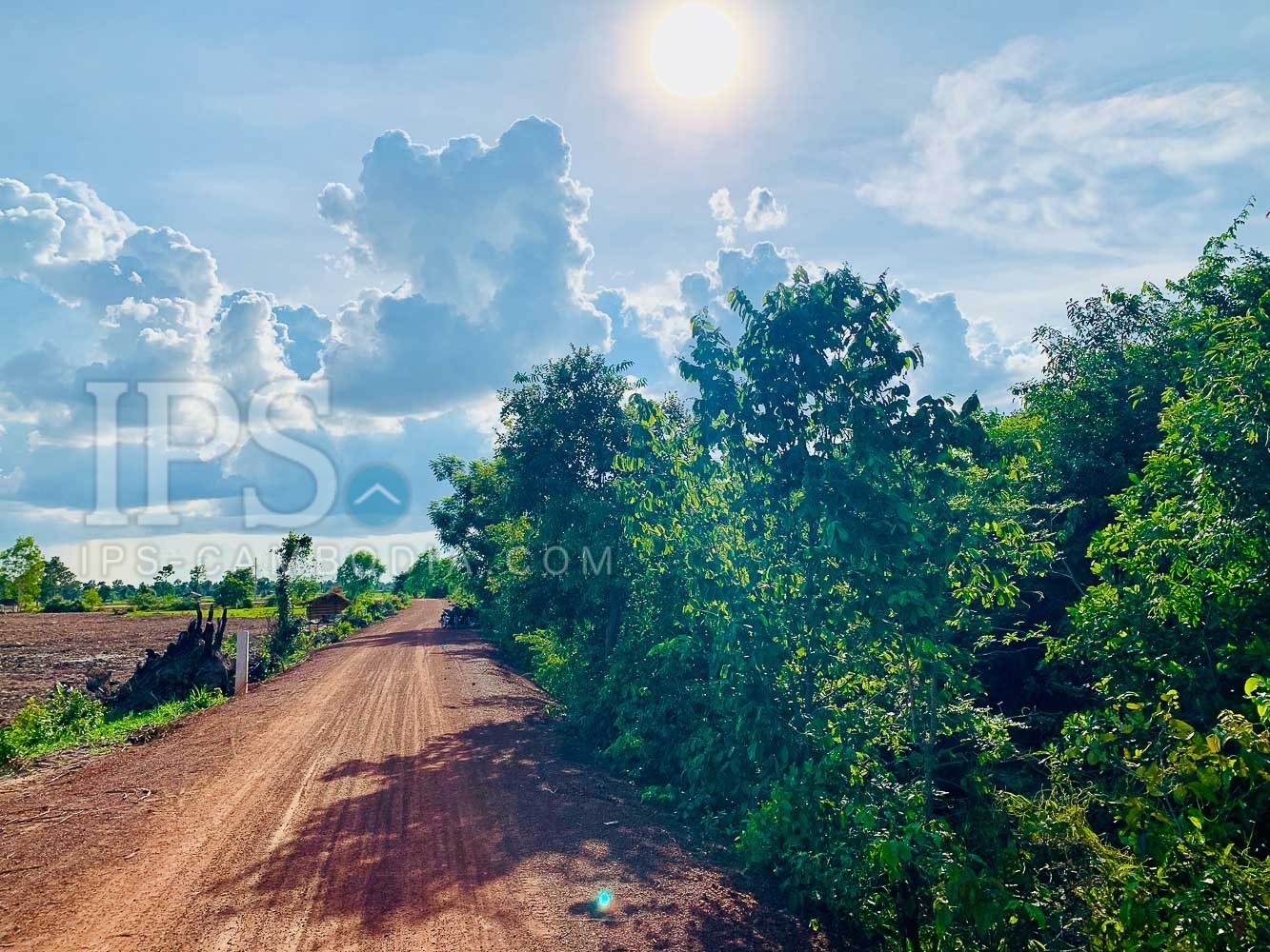 1.5 Hectare Land For Sale - Leang Dai, Siem Reap 10942 | IPS Cambodia