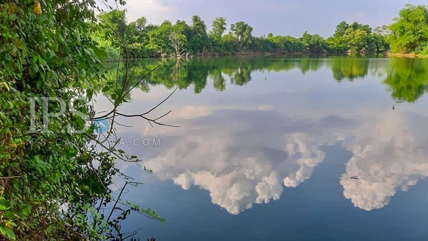 14 Hectare Land For Sale - Battambang 11119 | IPS Cambodia