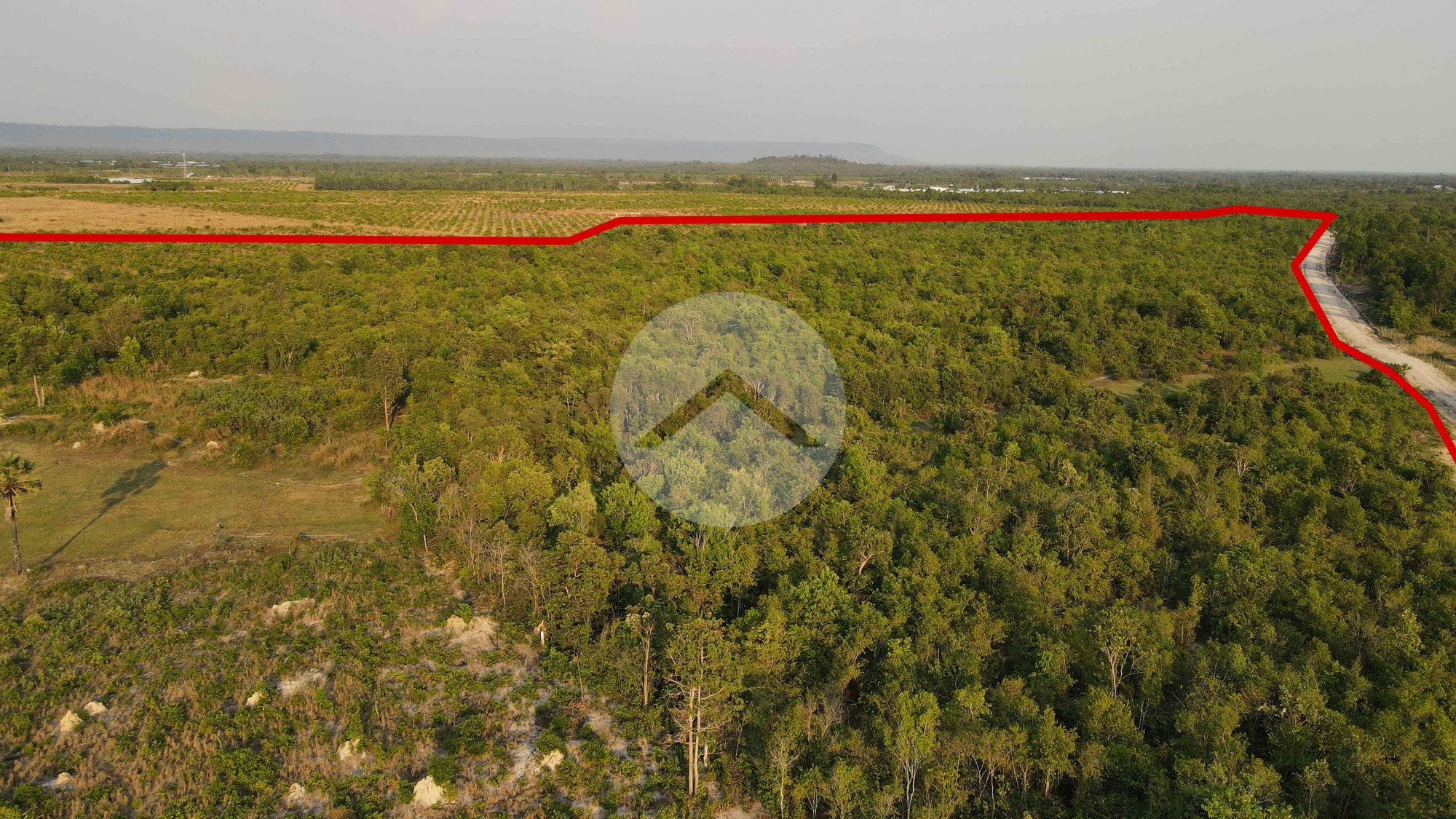 1 Hectare Land For Sale - Banteay Srei, Siem Reap 12018 | IPS Cambodia