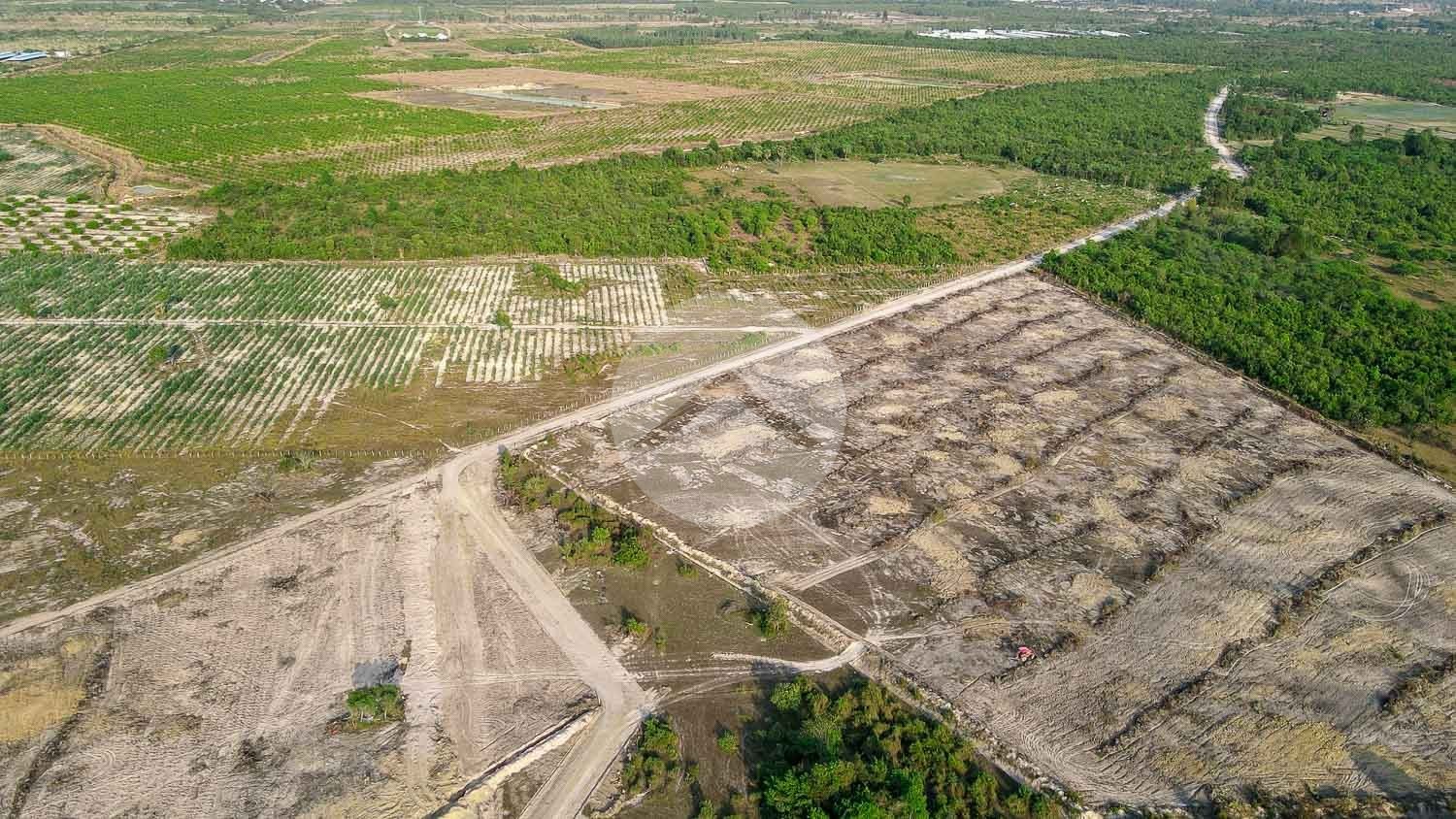 1 Hectare Land For Sale - Banteay Srei, Siem Reap 12018 | IPS Cambodia