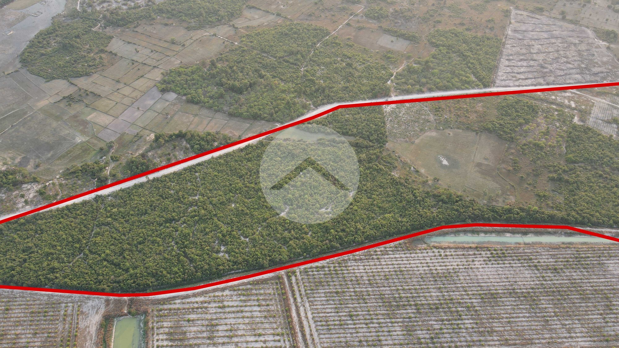 1 Hectare Land For Sale - Banteay Srei, Siem Reap 12018 | IPS Cambodia