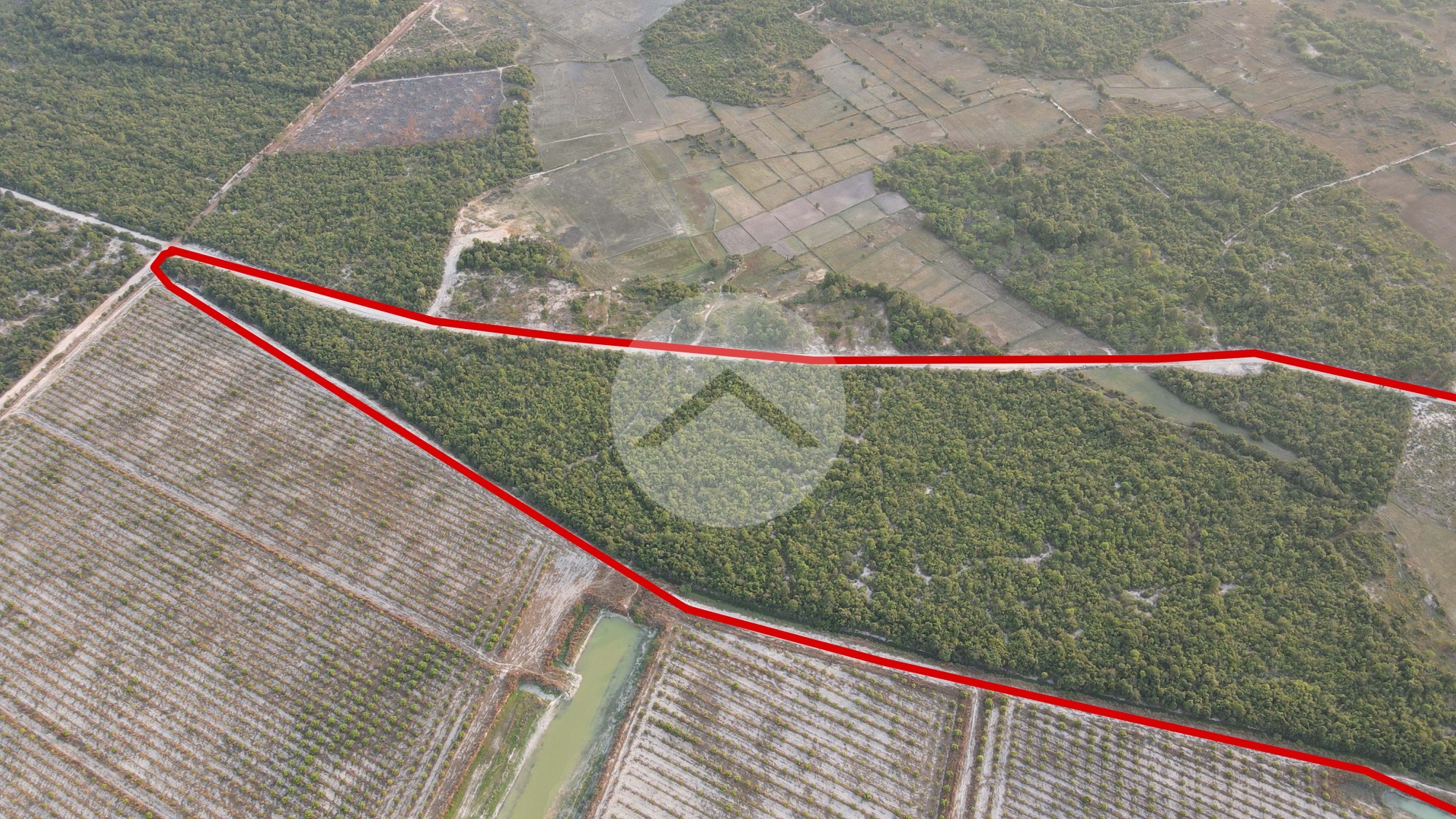 1 Hectare Land For Sale - Banteay Srei, Siem Reap 12018 | IPS Cambodia