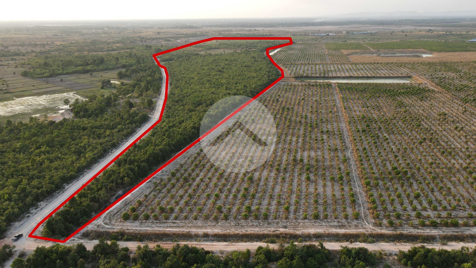 1 Hectare Land For Sale - Banteay Srei, Siem Reap 12018 | IPS Cambodia